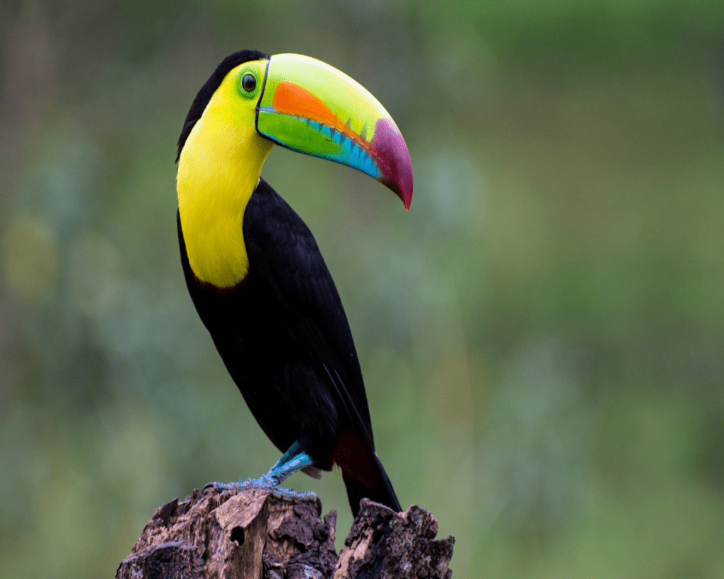 View Our Interactive Story Maps for Students